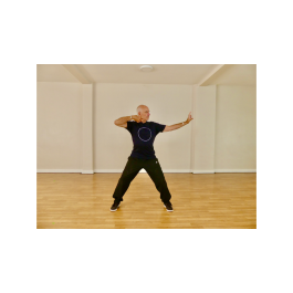 Learn the baduanjin (eight silken movements)